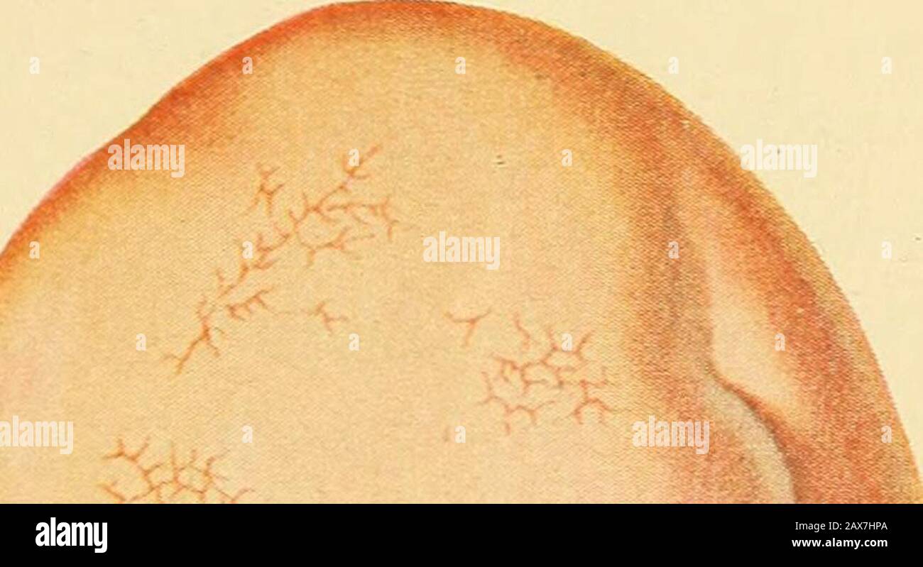 The human machine, its care and repair; or, How to develop the body ...