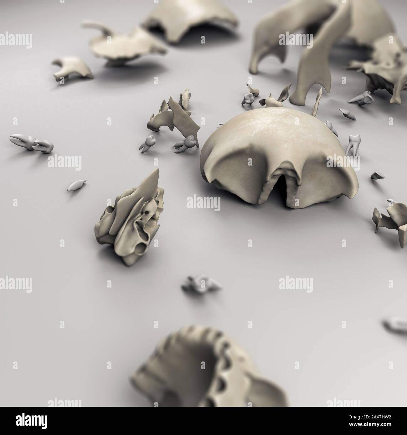 broken human skull isolated on white background 3d illustration Stock ...