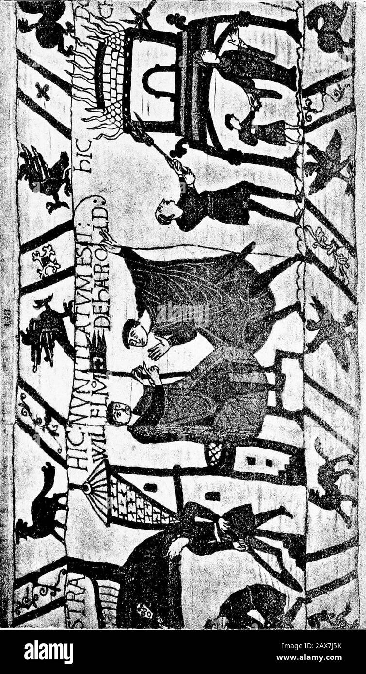 The Bayeux tapestry; a history and description . H t/3 Stock Photo - Alamy