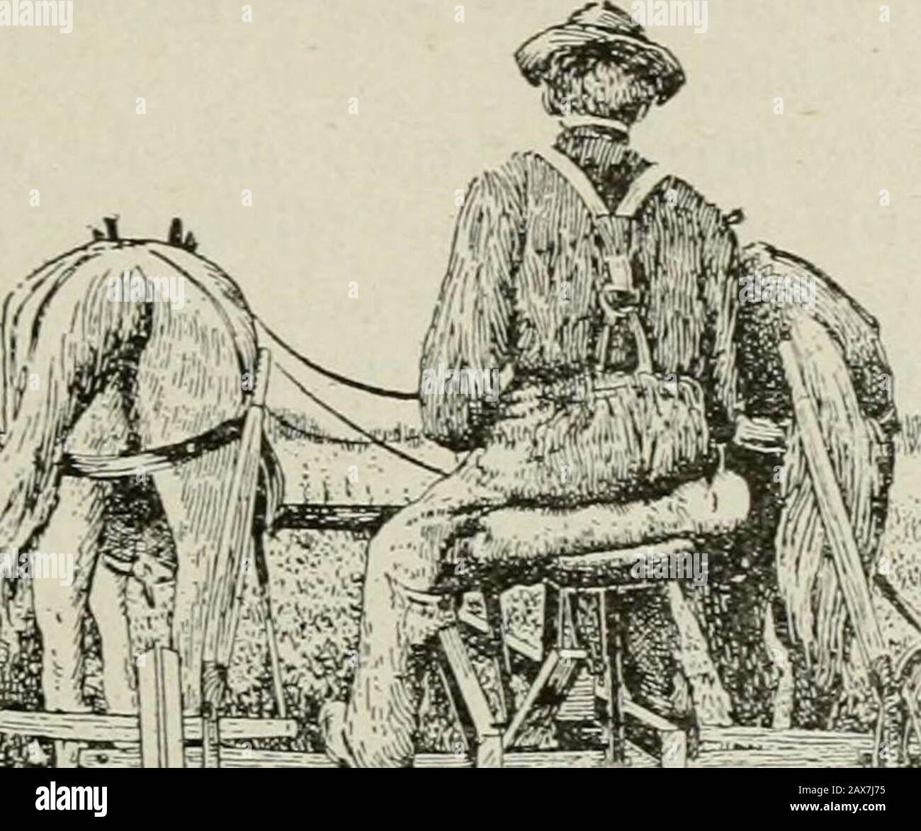 Successful farming : a ready reference on all phases of agriculture for ...