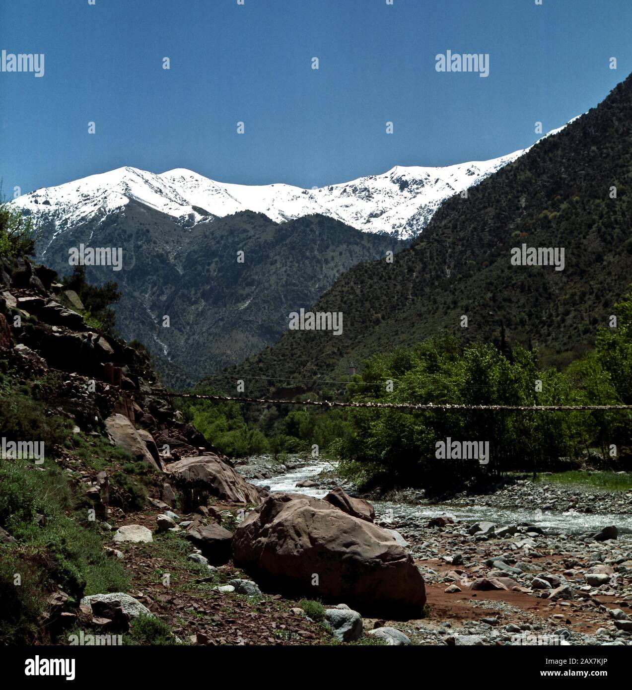 Aurica hi-res stock photography and images - Alamy