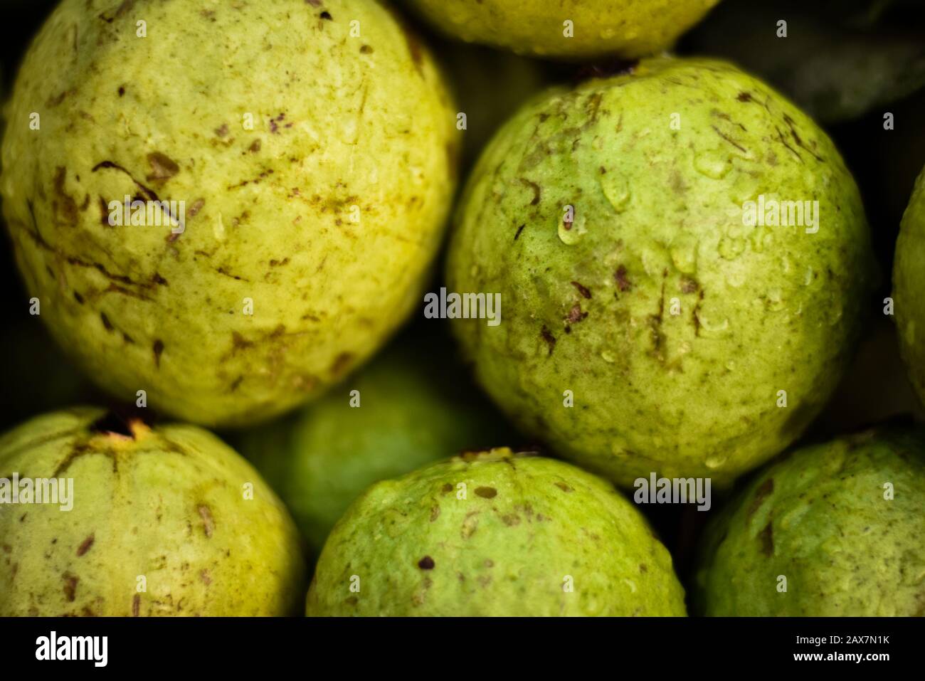 Indian fresh guava fruits on a street fruits market Stock Photo - Alamy