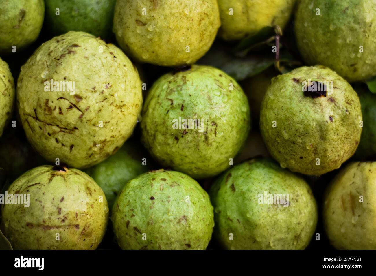 Indian fresh guava fruits on a street fruits market Stock Photo - Alamy