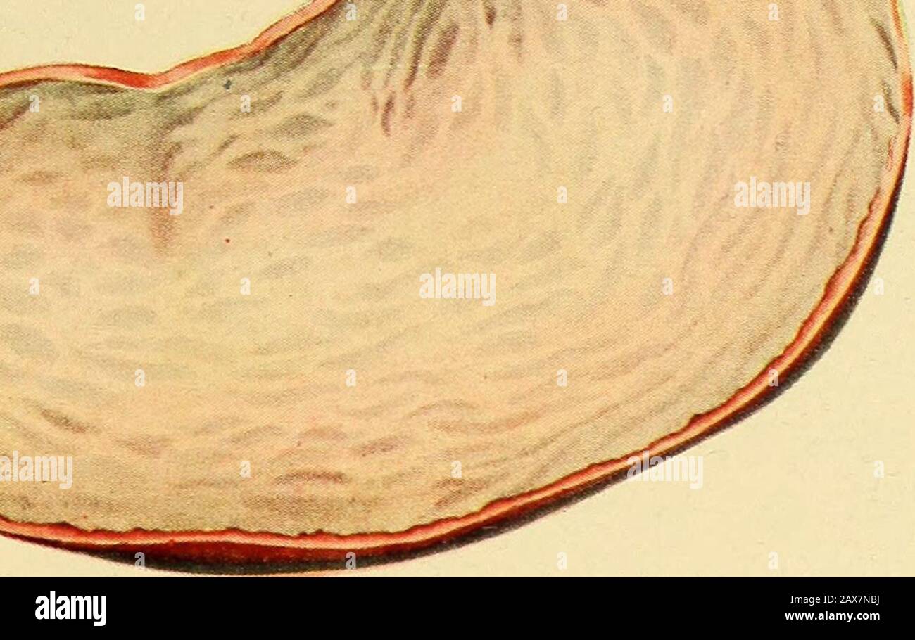 The human machine, its care and repair; or, How to develop the body ...