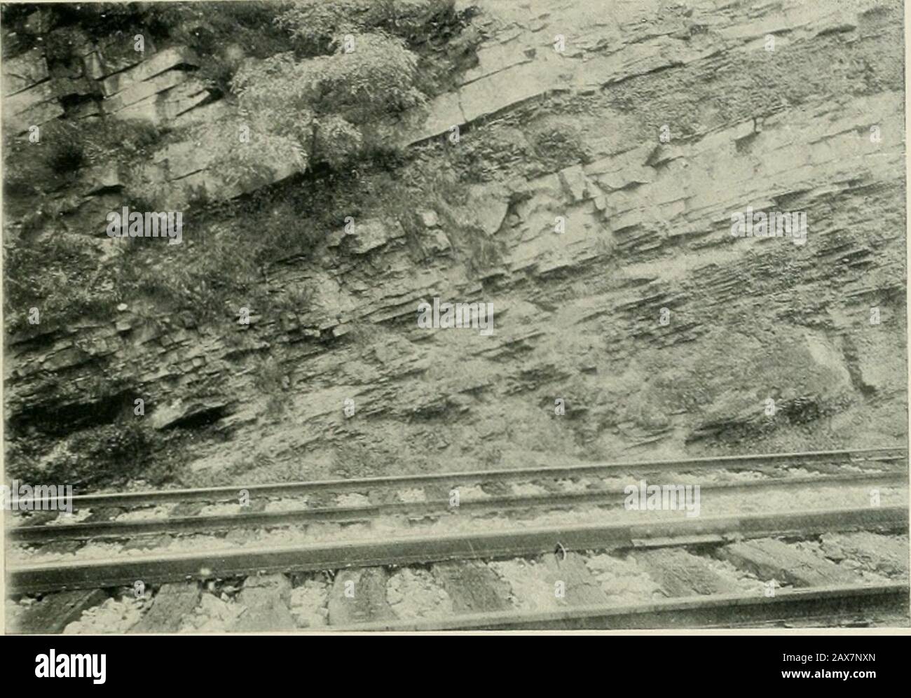 Allegany County . fossiliferous near the bottom. Somefolding-, but the ...