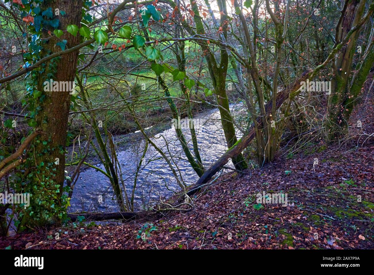 Doune Castle (DOUNE Stock Photo - Alamy