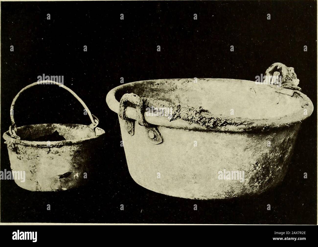 Faint Shell Edge High Resolution Stock Photography and Images - Alamy