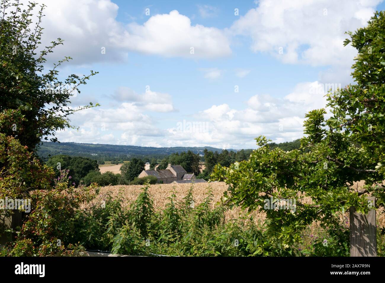 Farm house corn field hi-res stock photography and images - Alamy
