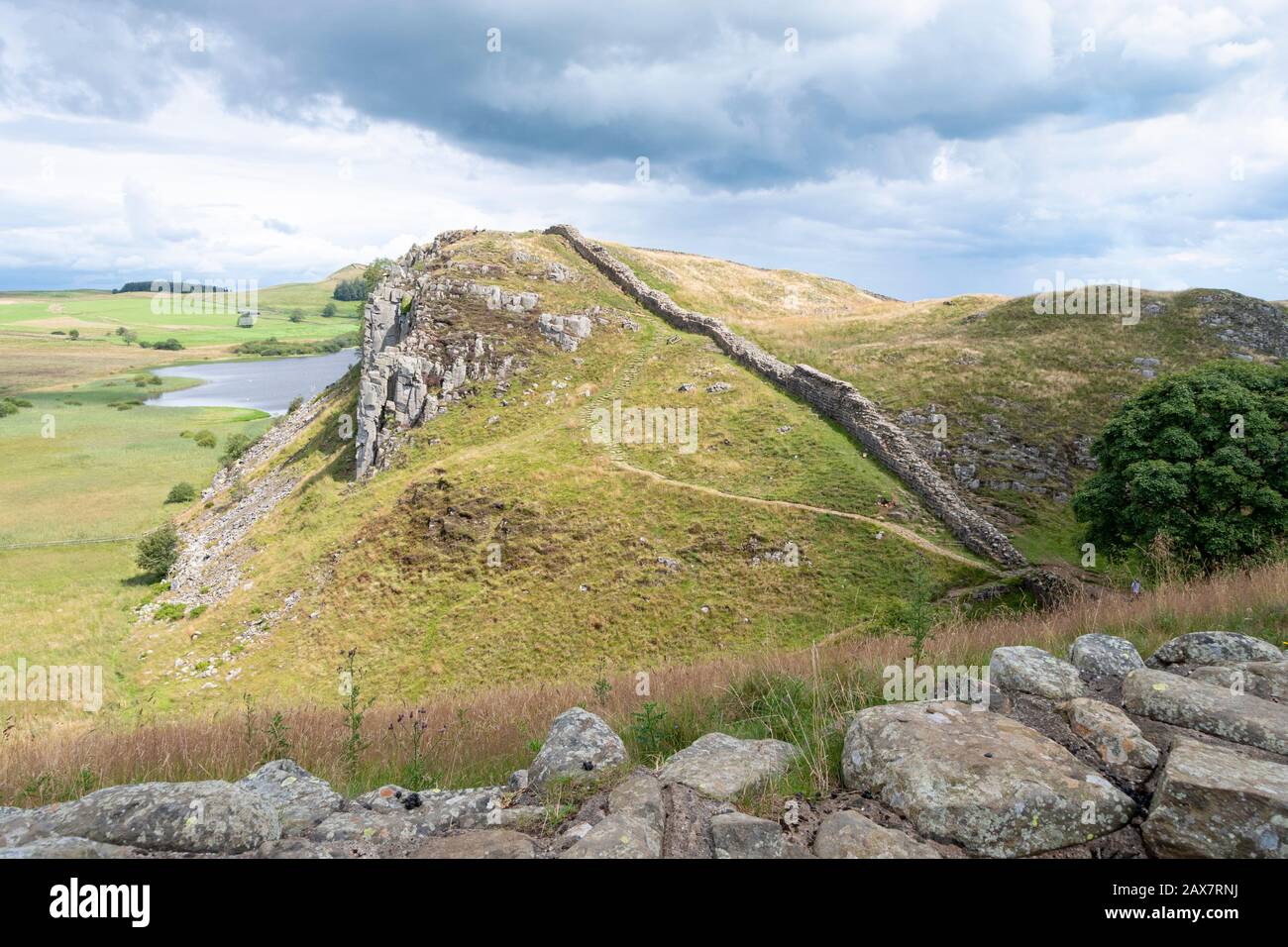 Sycamore Gap Tree or Robin Hood Tree, Hadrians Wall, the northern limit ...