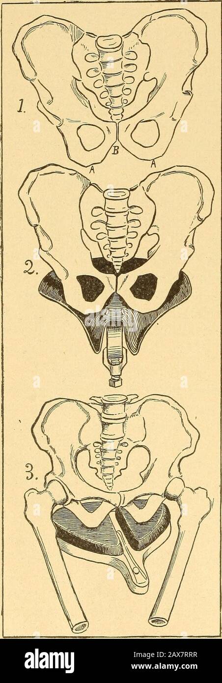The human machine, its care and repair; or, How to develop the body ...