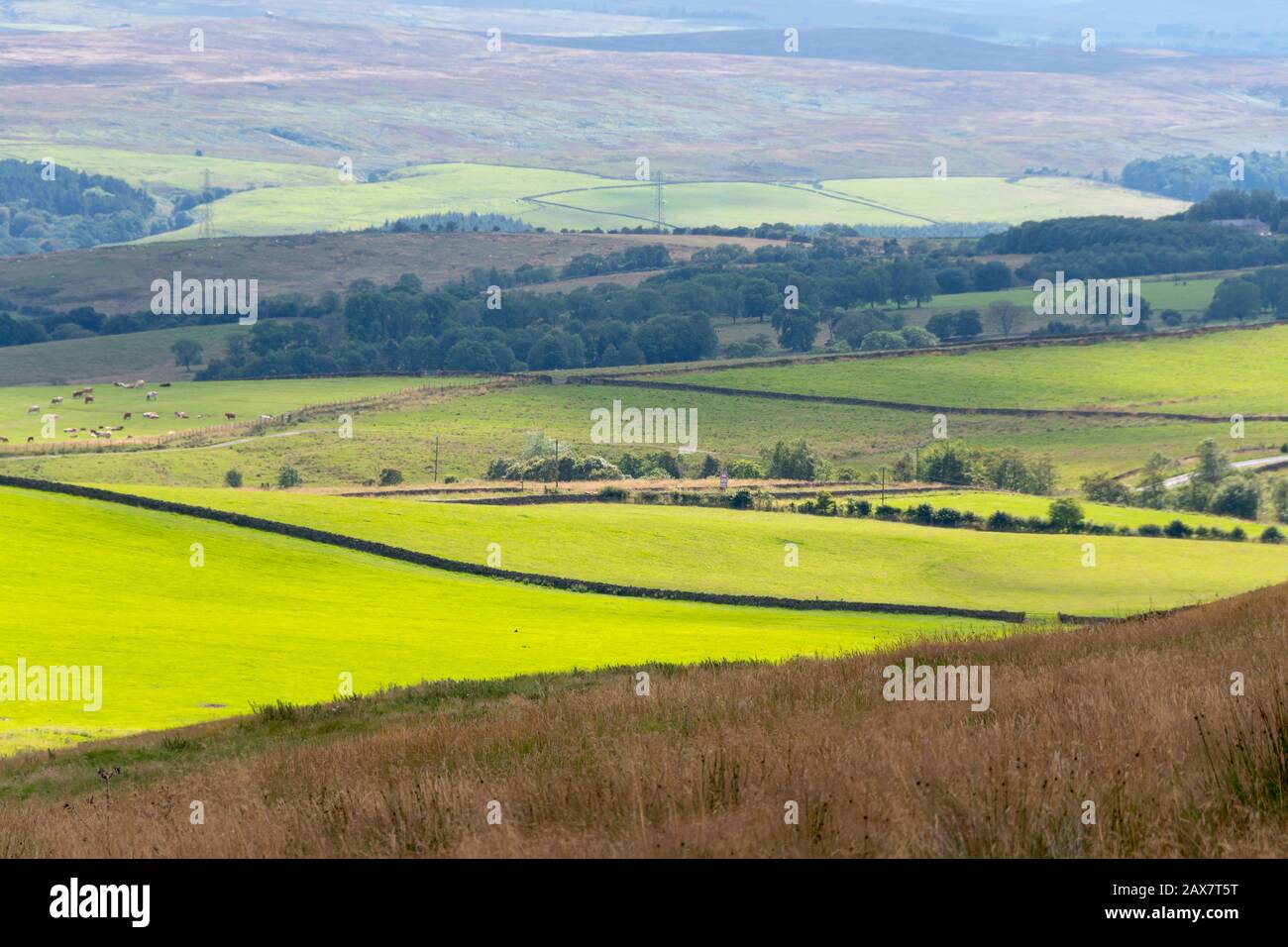 Green fields with farmland hi-res stock photography and images - Alamy