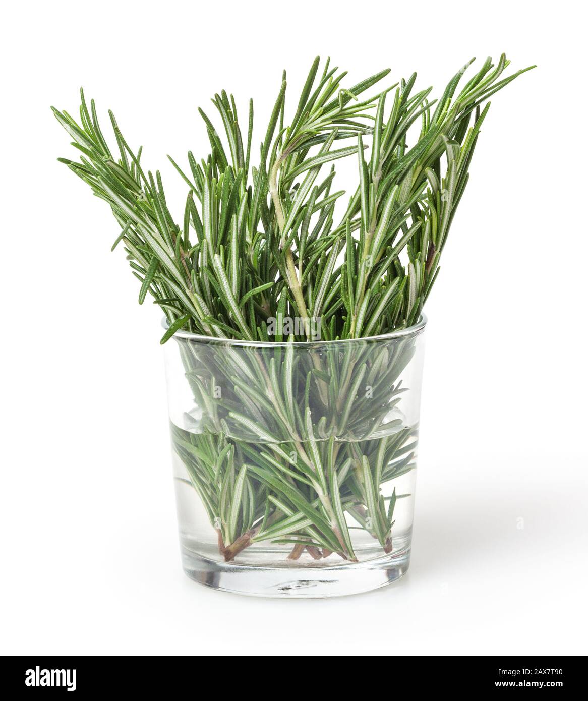 Fresh rosemary isolated on white background Stock Photo - Alamy