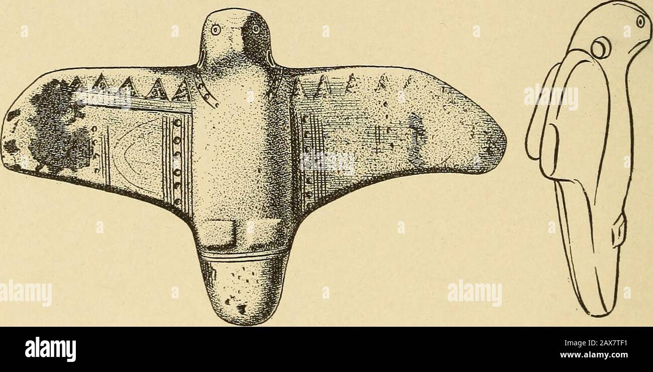 Scimitar shaped beak hi-res stock photography and images - Alamy