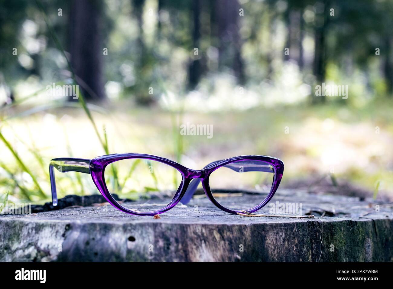 Glasses in the forest, reading in nature, texture or background Stock ...