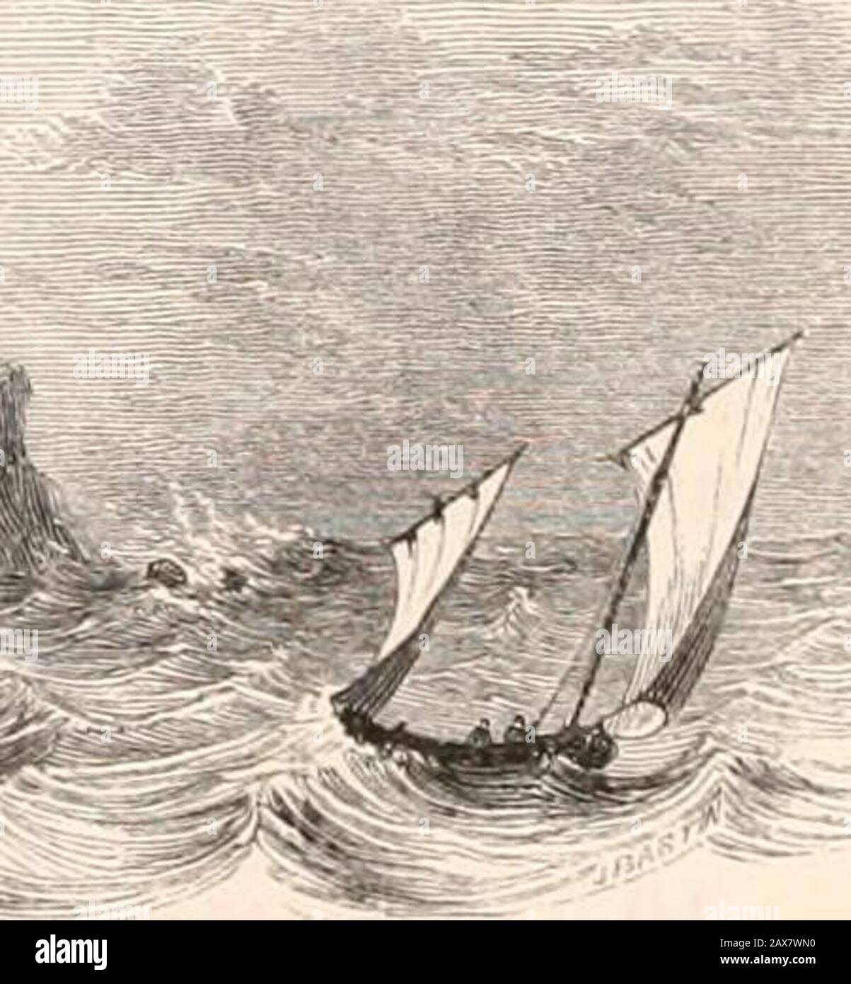A history of British star-fishes, and other animals of the class ...