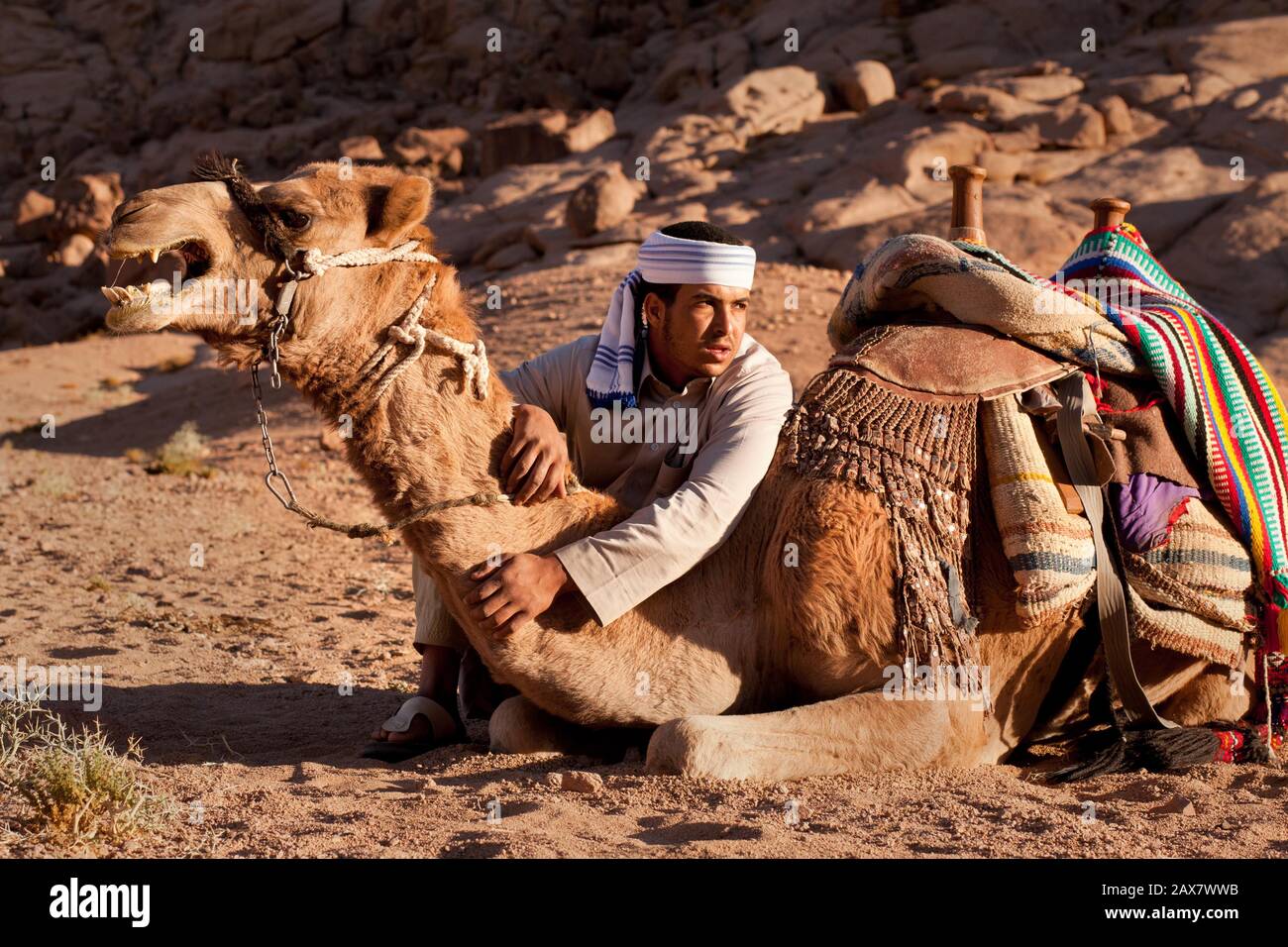 Mount stokes hi-res stock photography and images - Alamy