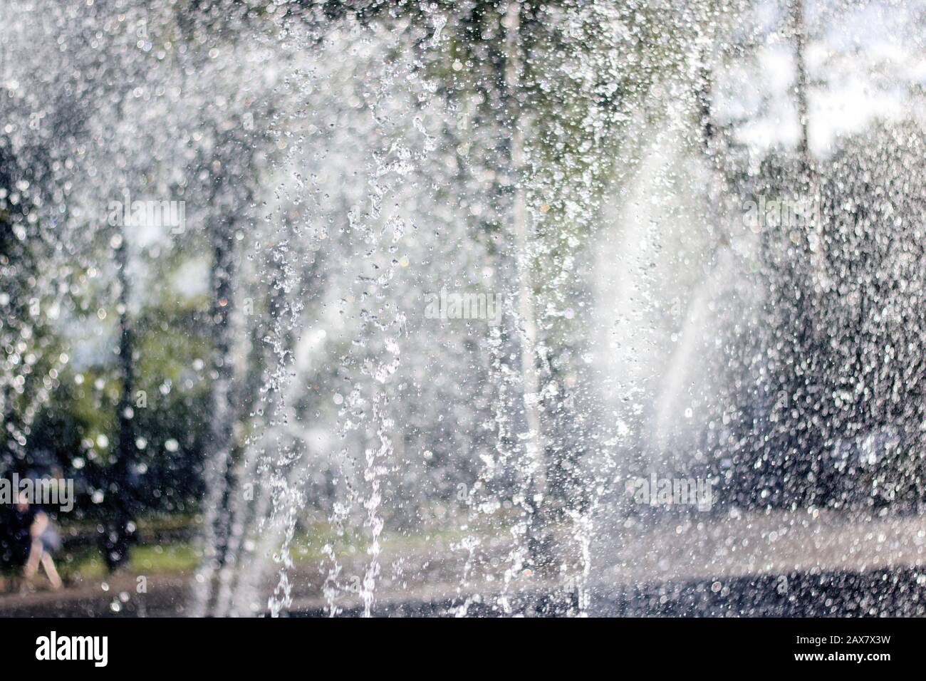 Water spray against the background of trees, copy space, background ...