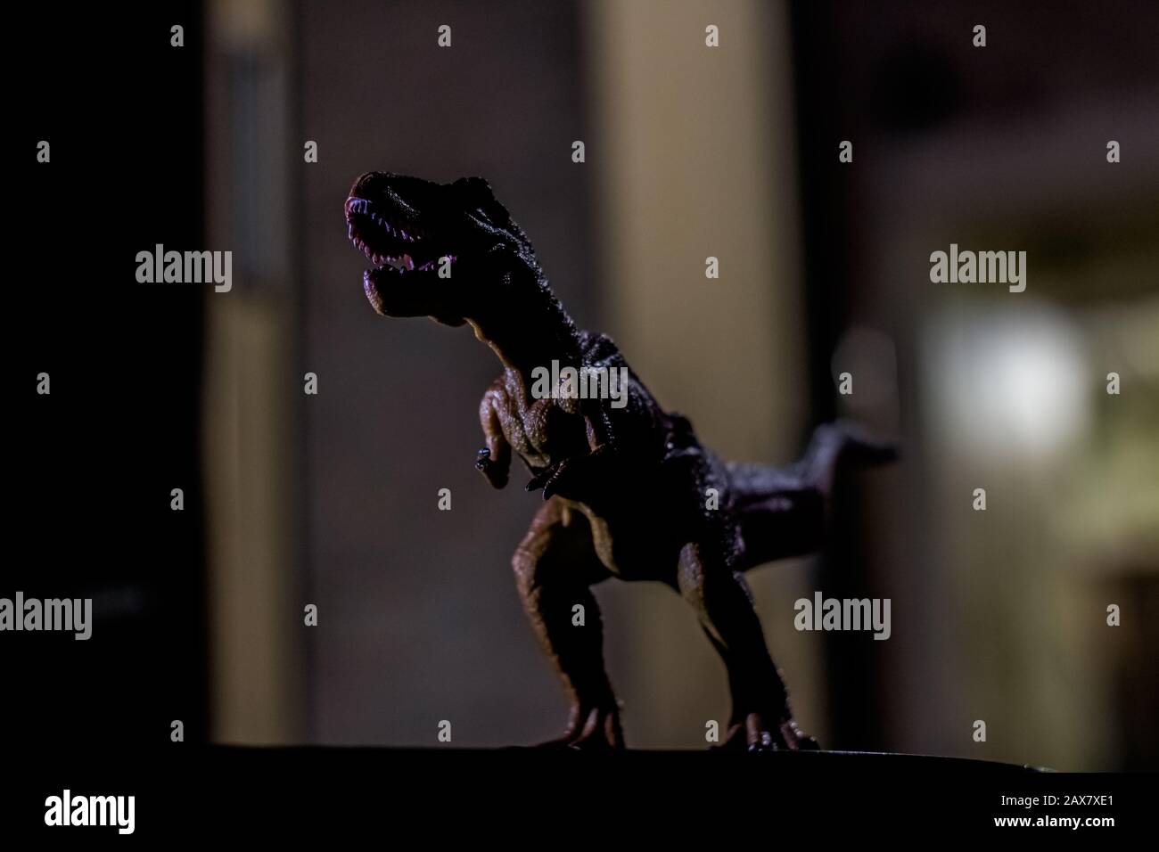 Silhouette of the Tyrannosaurus in the Shadow, non existent animal ...