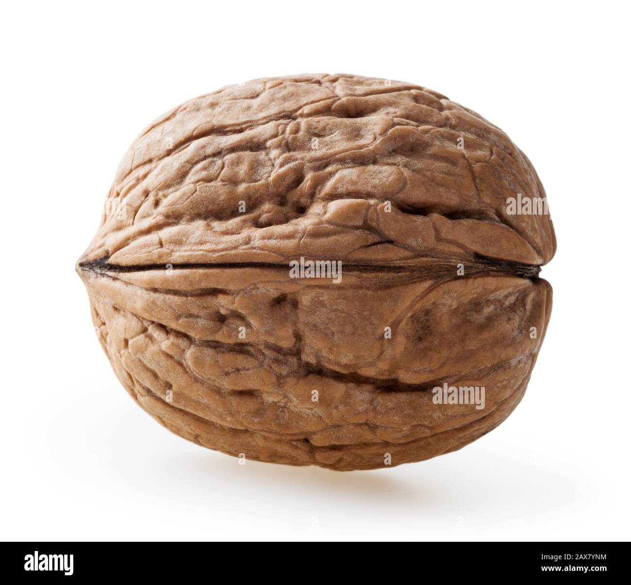 Wulnut isolated on white background with clipping path Stock Photo - Alamy