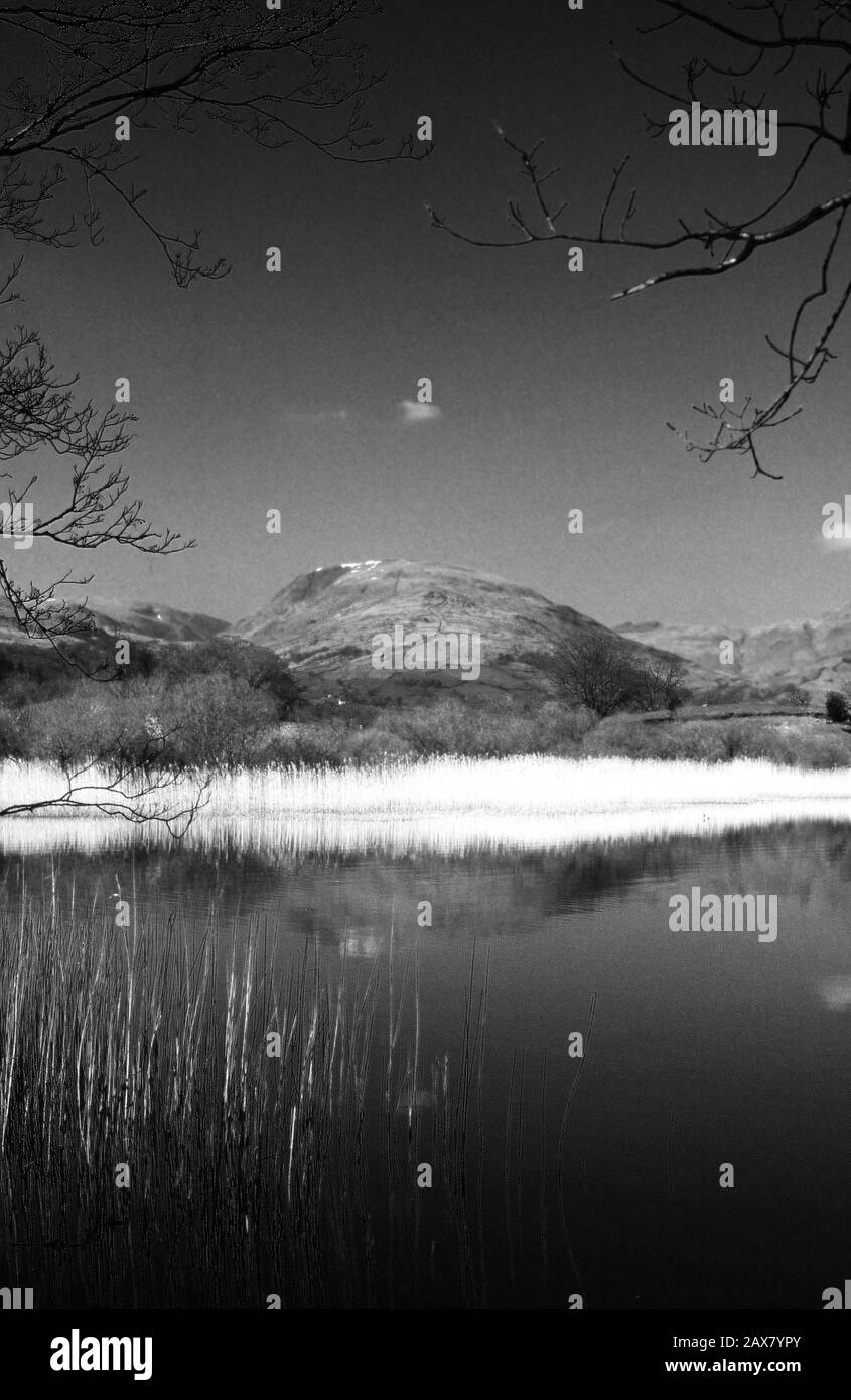 black, and, white, monochrome, film, photography, photograph Stock ...