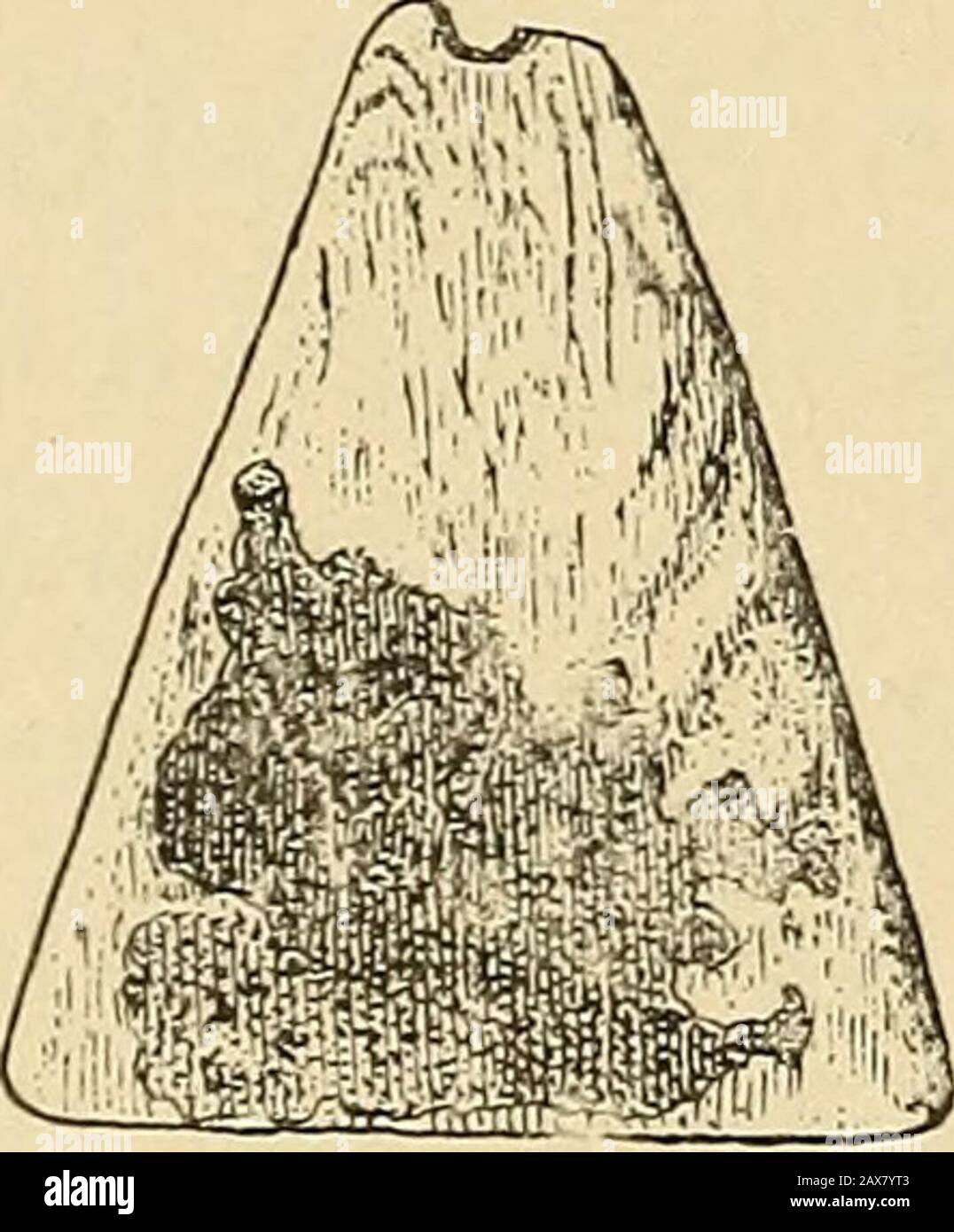 Shell gorget hi-res stock photography and images - Alamy