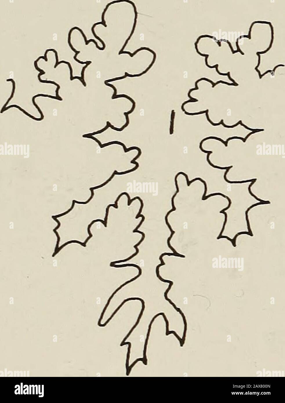 Annals of the South African Museum = Annale van die Suid-Afrikaanse ...