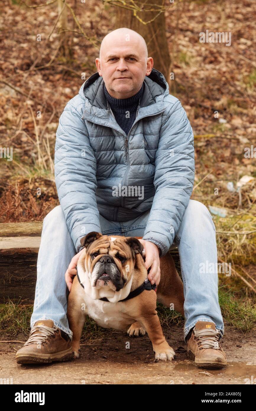 Man and English bulldog / dog go for a walk in the park in Autumn Stock ...