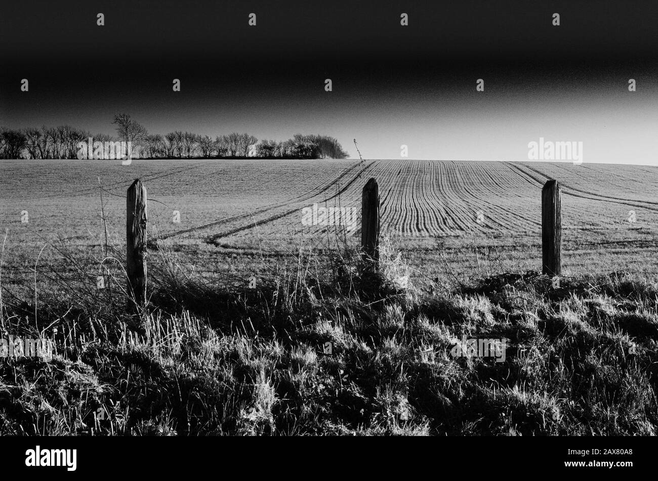 black, and, white, monochrome, film, photography, photograph Stock ...