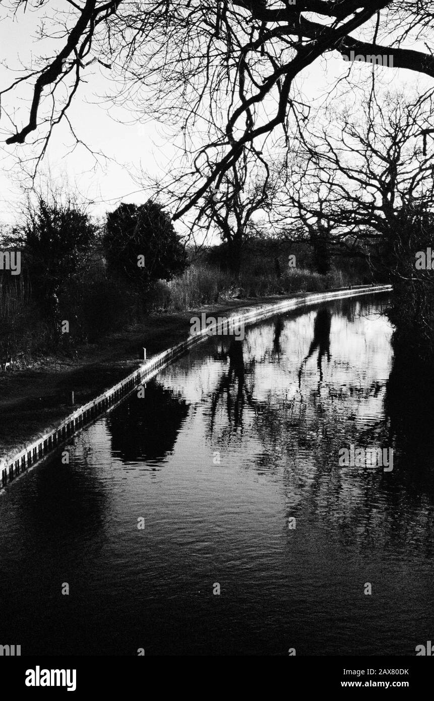 black, and, white, monochrome, film, photography, photograph Stock ...