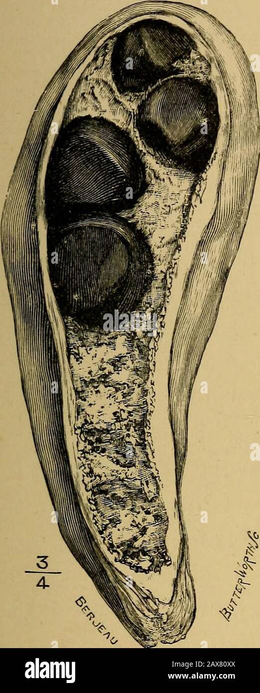 Clinicalexamination hi-res stock photography and images - Alamy