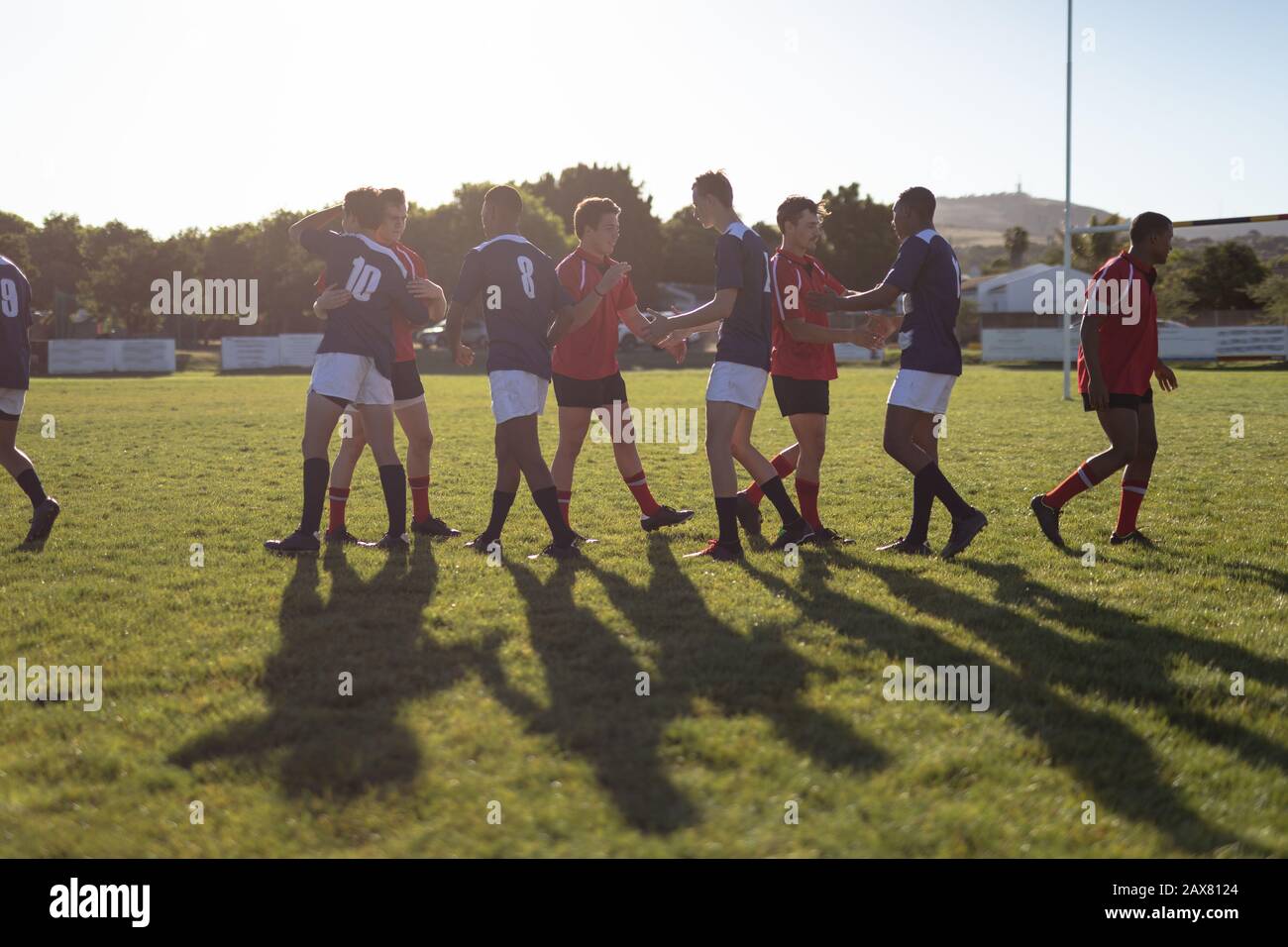 Rugby players shaking hands Stock Photo - Alamy
