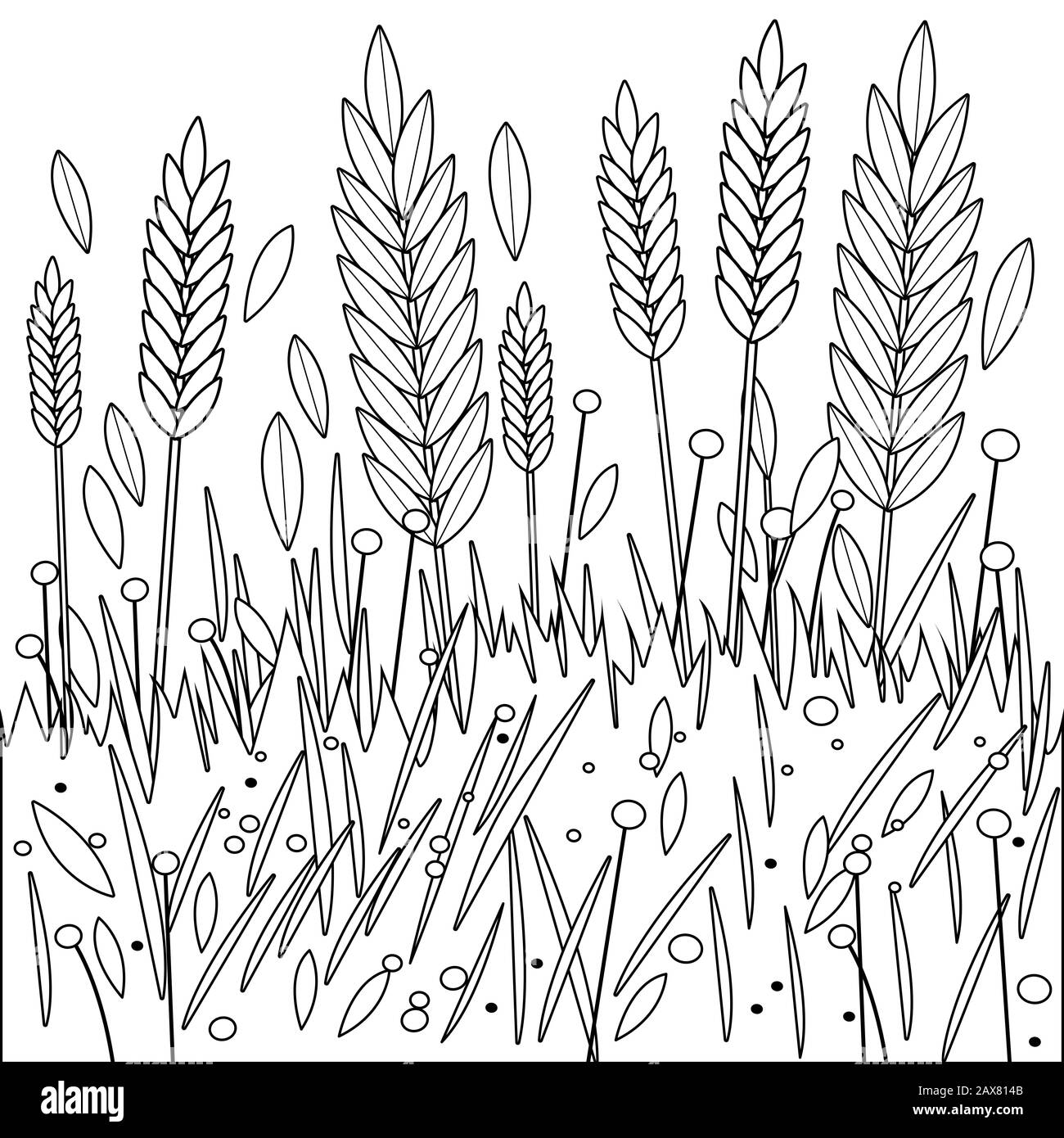 Stalks outline Black and White Stock Photos & Images - Alamy