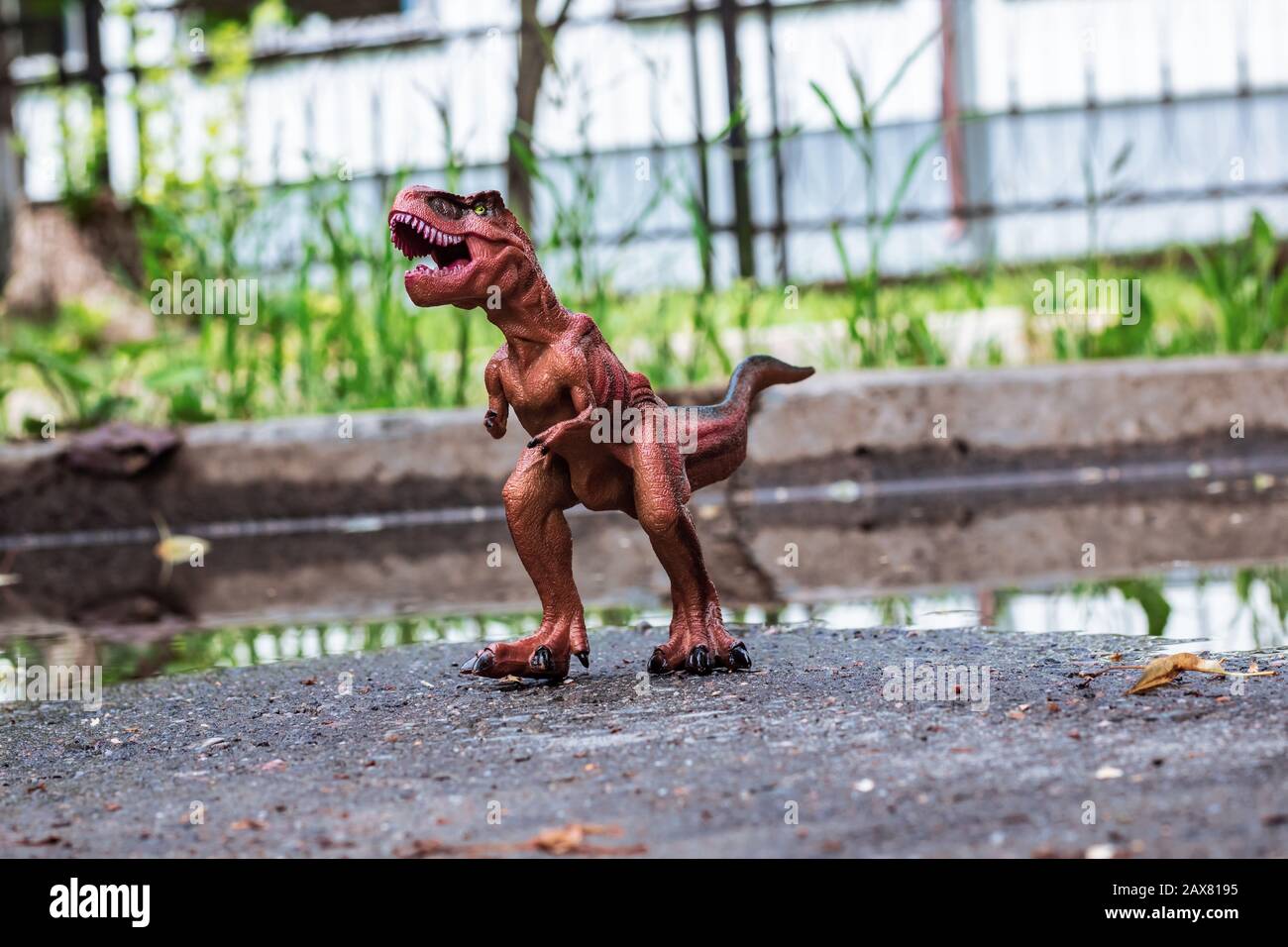 Red Tyrannosaurus near the water in the forest, non-existent animal ...