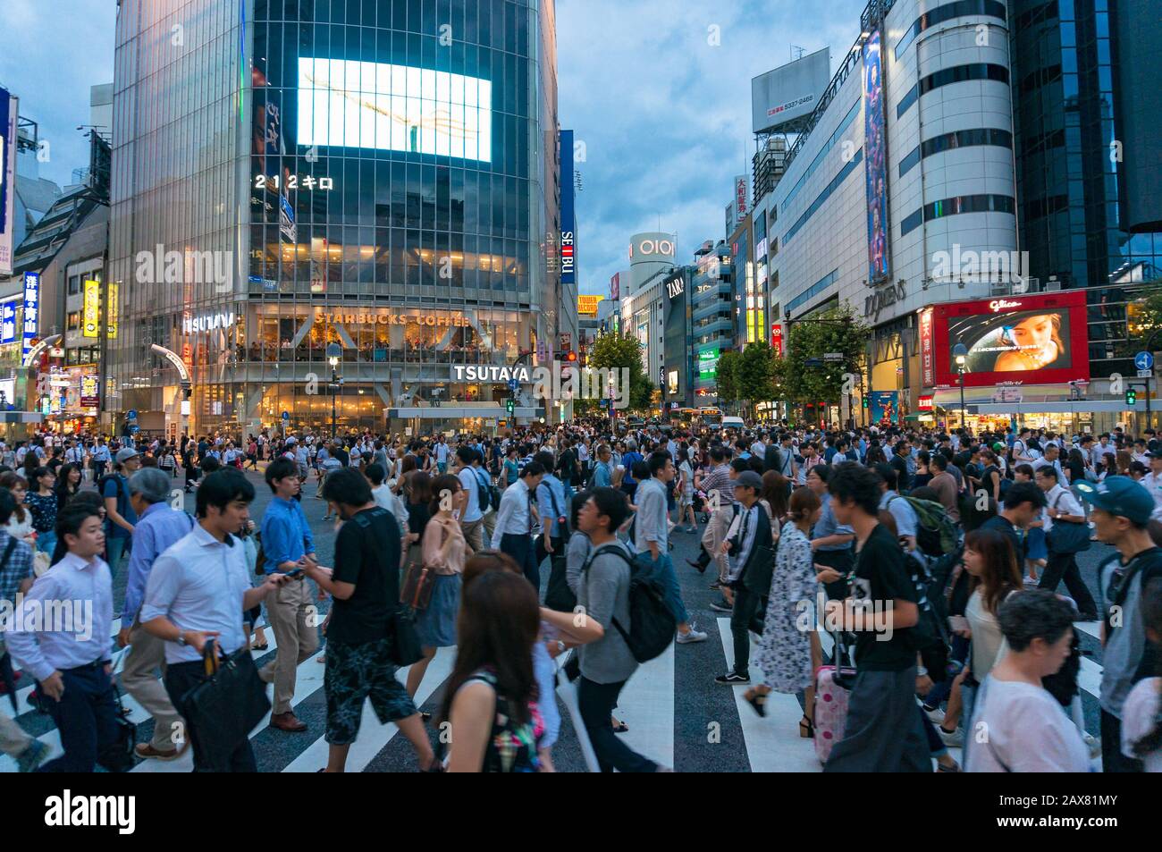 Tokyo, Japan - August 30, 2016: Crowd of people crossing famous Shibuya ...