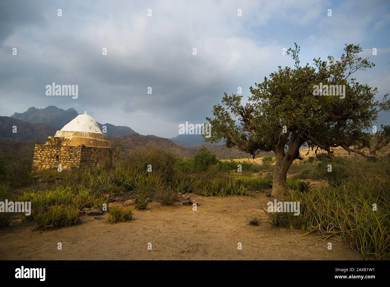 Tihama hi-res stock photography and images - Alamy