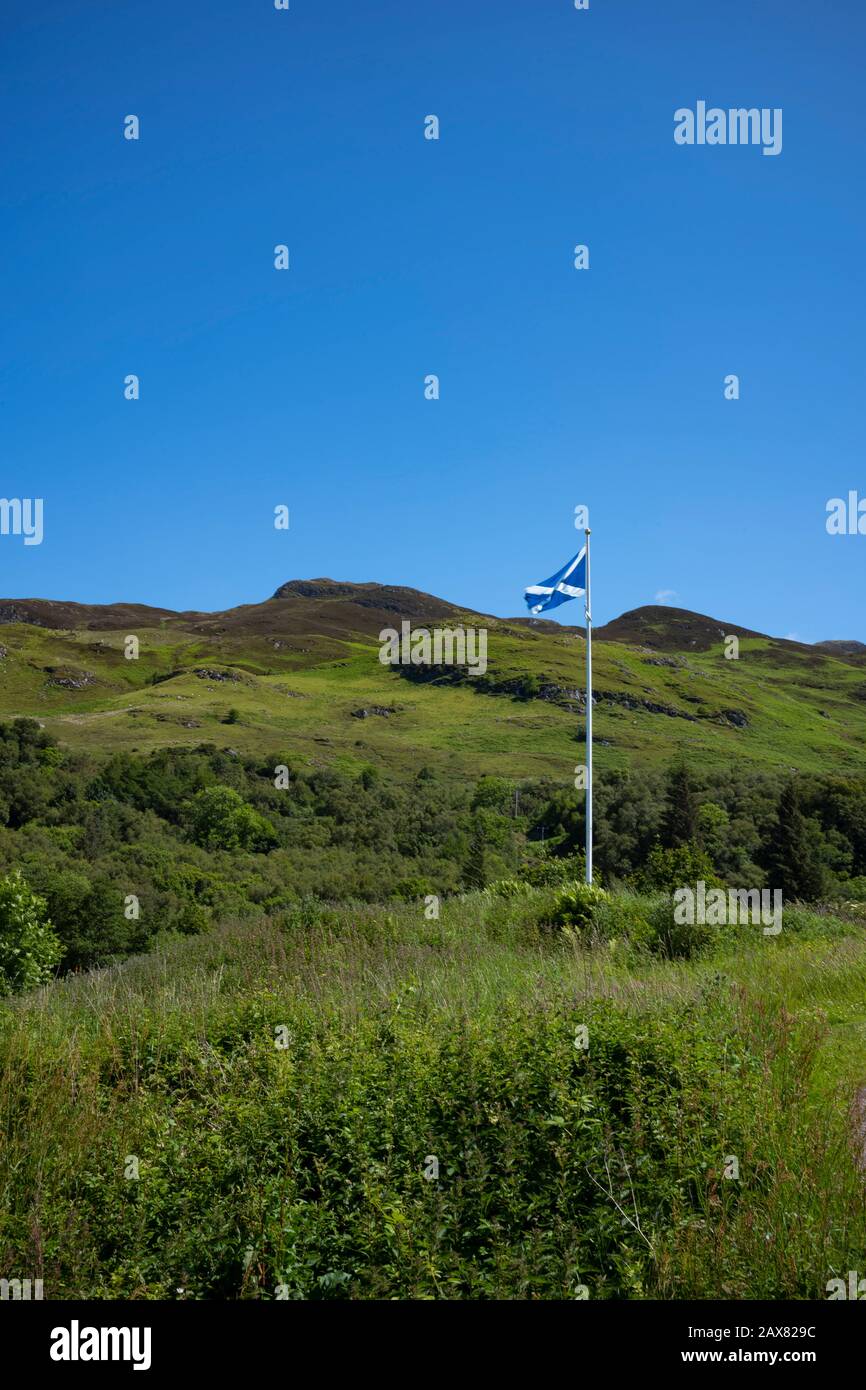 The Flag of Scotland, also known as the Saltire or the Saint Andrew's ...
