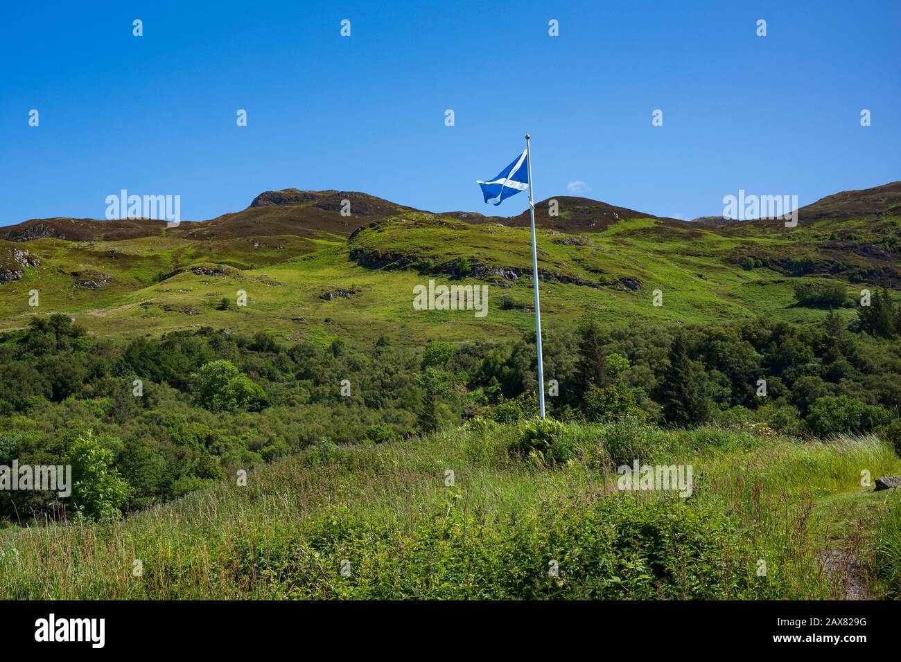 The Flag of Scotland, also known as the Saltire or the Saint Andrew's ...