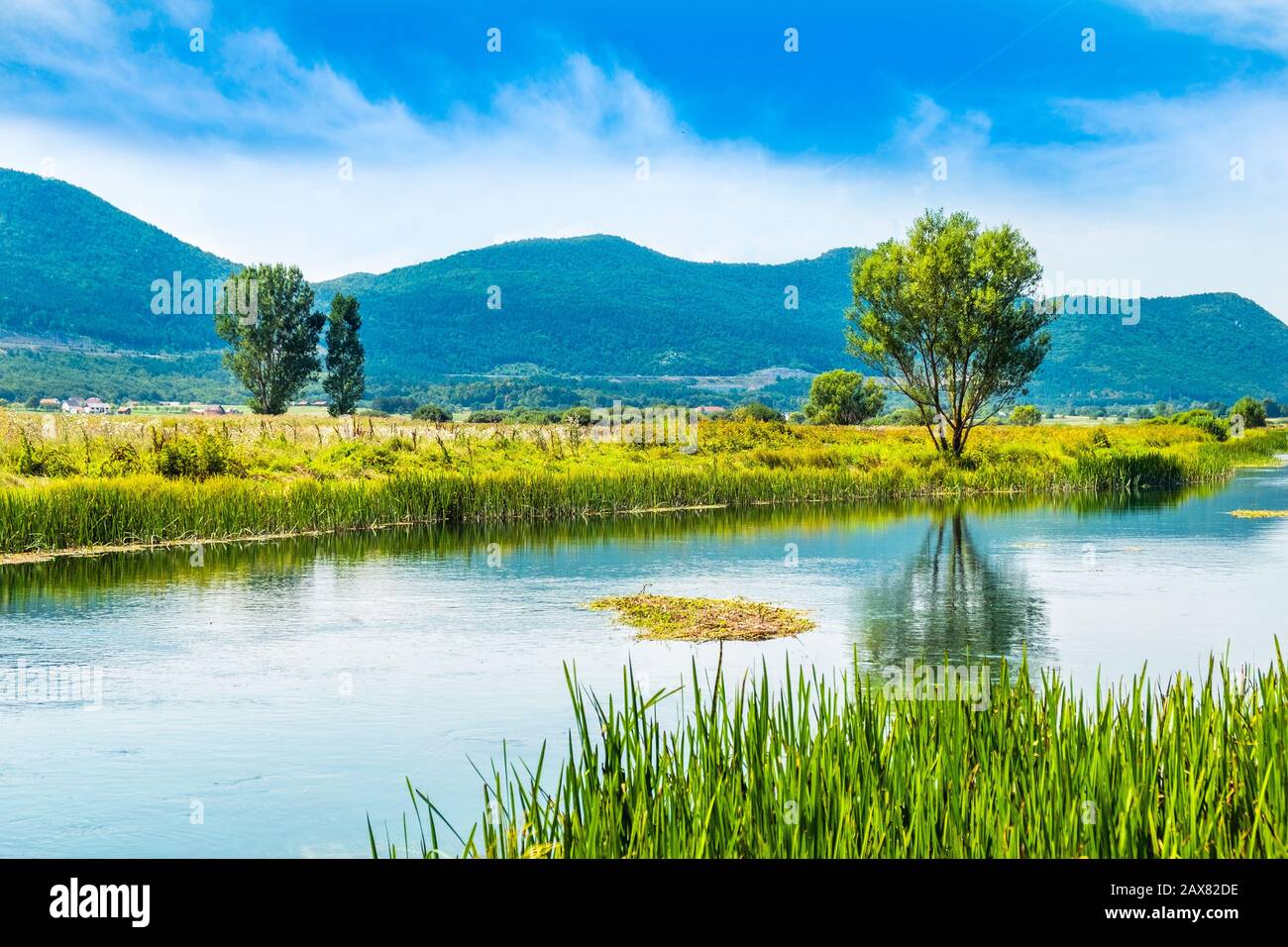 Croatia, beautiful greennature, Gacka river in Lika region, field ...