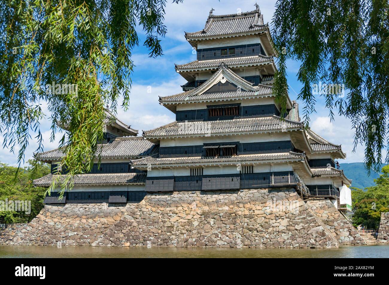Matsumoto castle framed by weeping willow tree. Japan Stock Photo - Alamy
