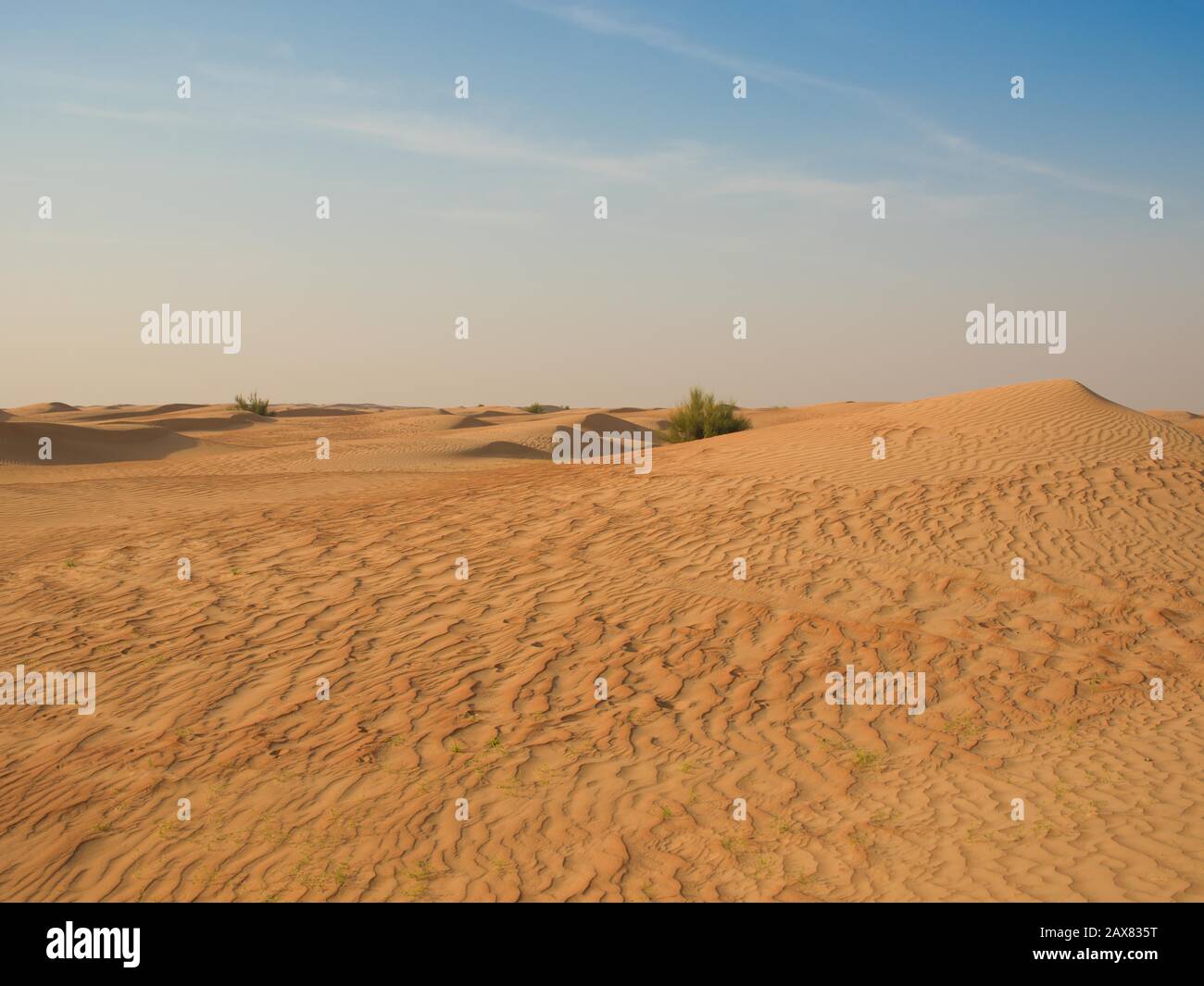 Desert Dunes, Margham. Dubai, UAE Stock Photo - Alamy