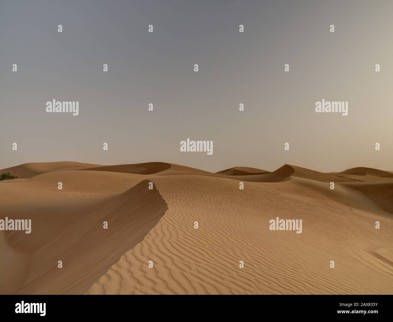 Desert Dunes, Margham. Dubai, UAE Stock Photo - Alamy