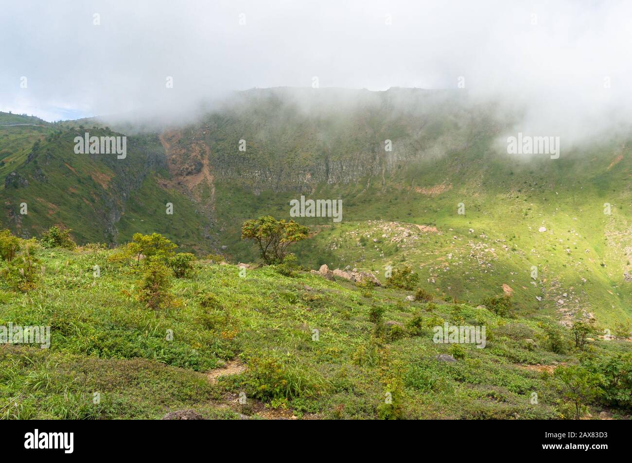 Japanese wilderness hi-res stock photography and images - Alamy