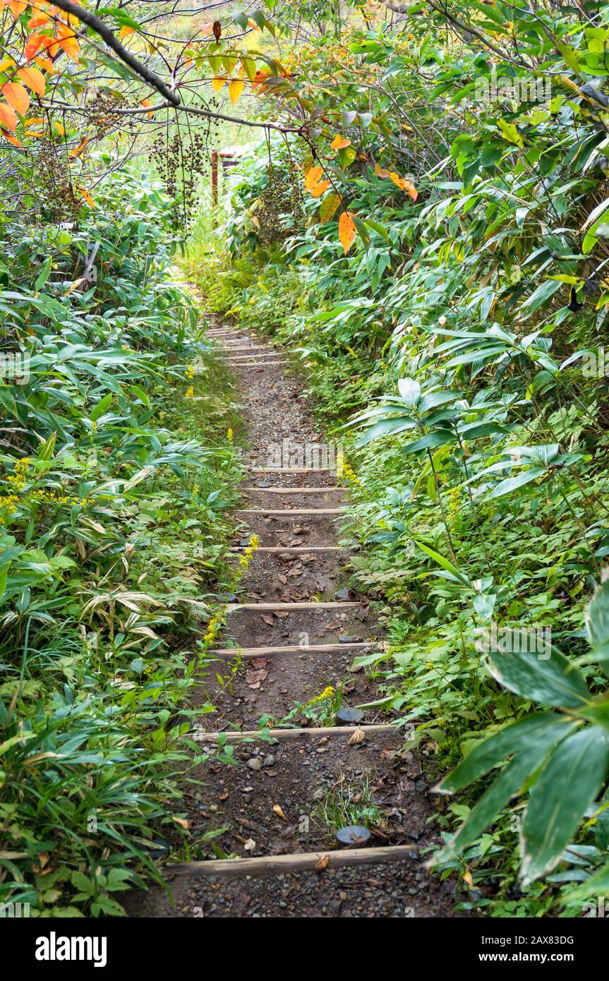 Dirt hiking path in hi-res stock photography and images - Alamy