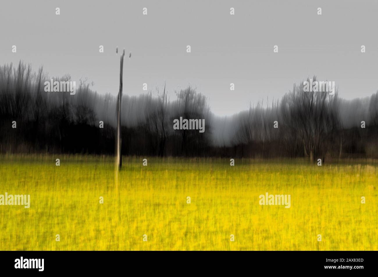 Abstract concept image woods hi-res stock photography and images - Alamy