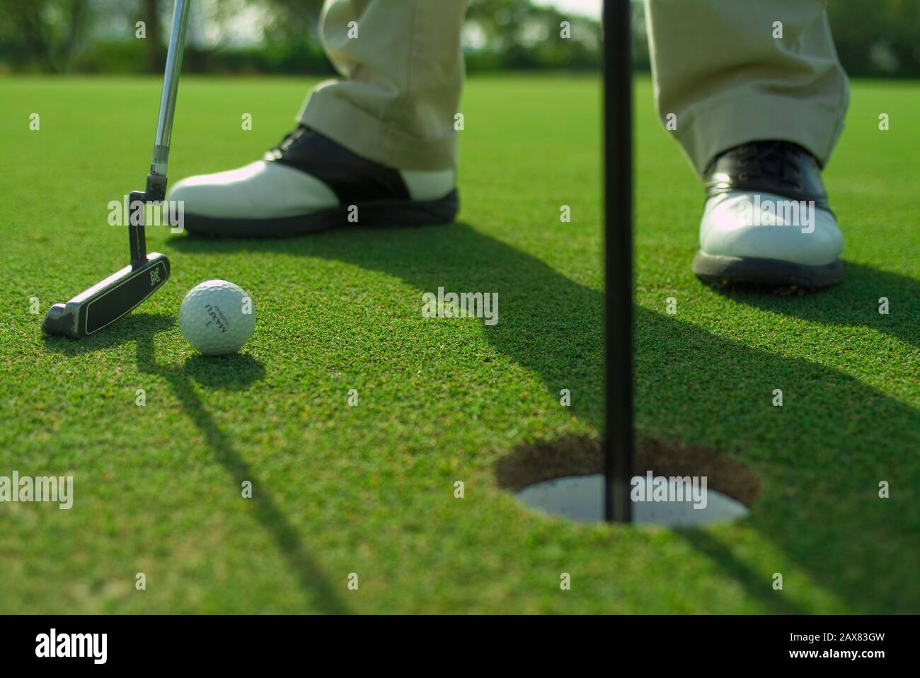 Putting on a golf green Stock Photo - Alamy