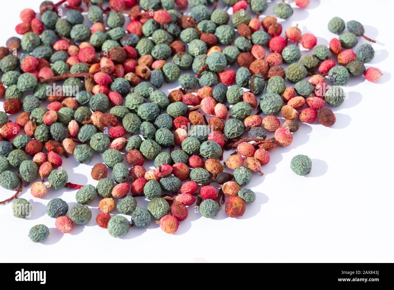 Pistacia terebinthus, Fruits of Terebinth Stock Photo - Alamy