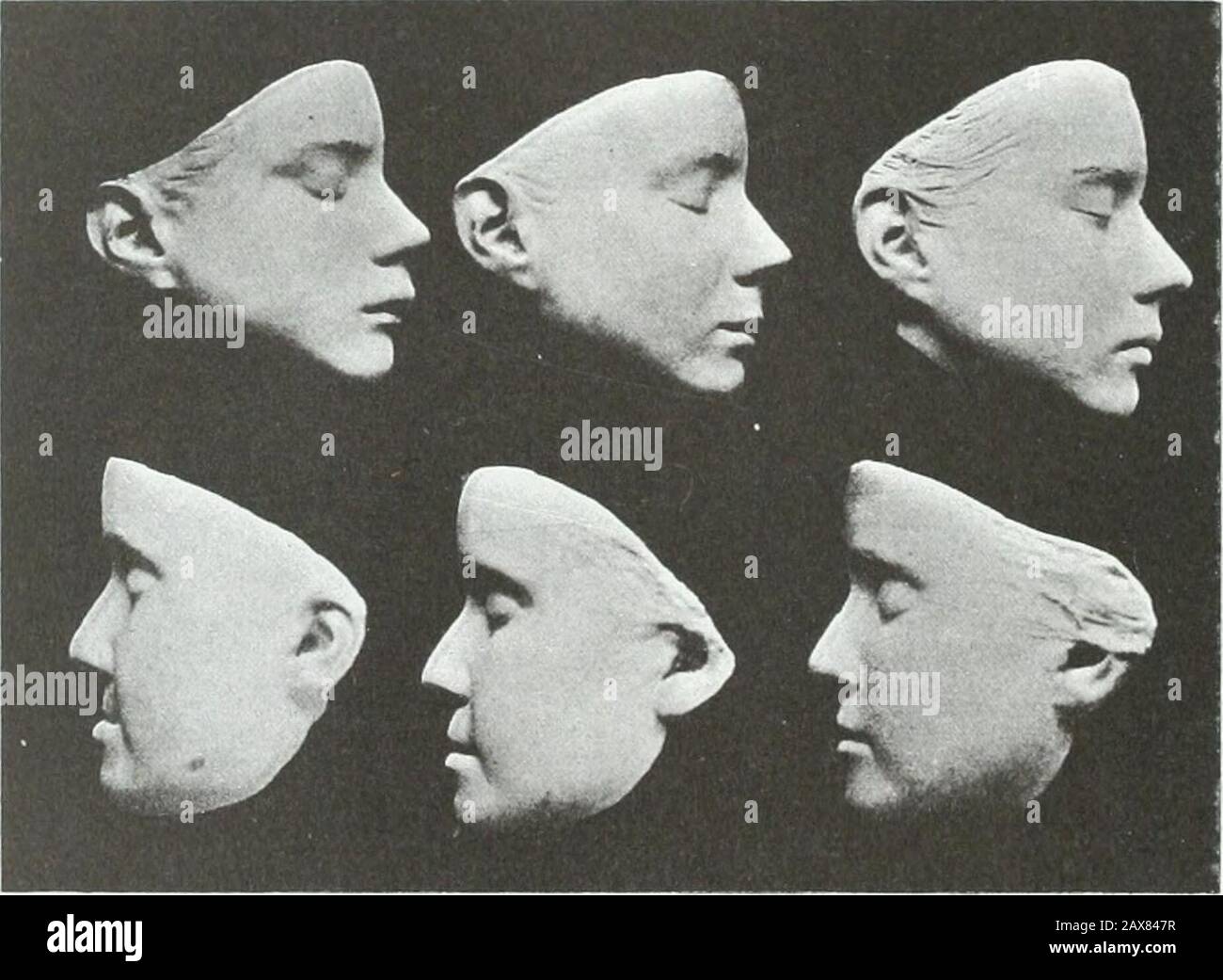 A practical treatise on the technics and principles of dental ...