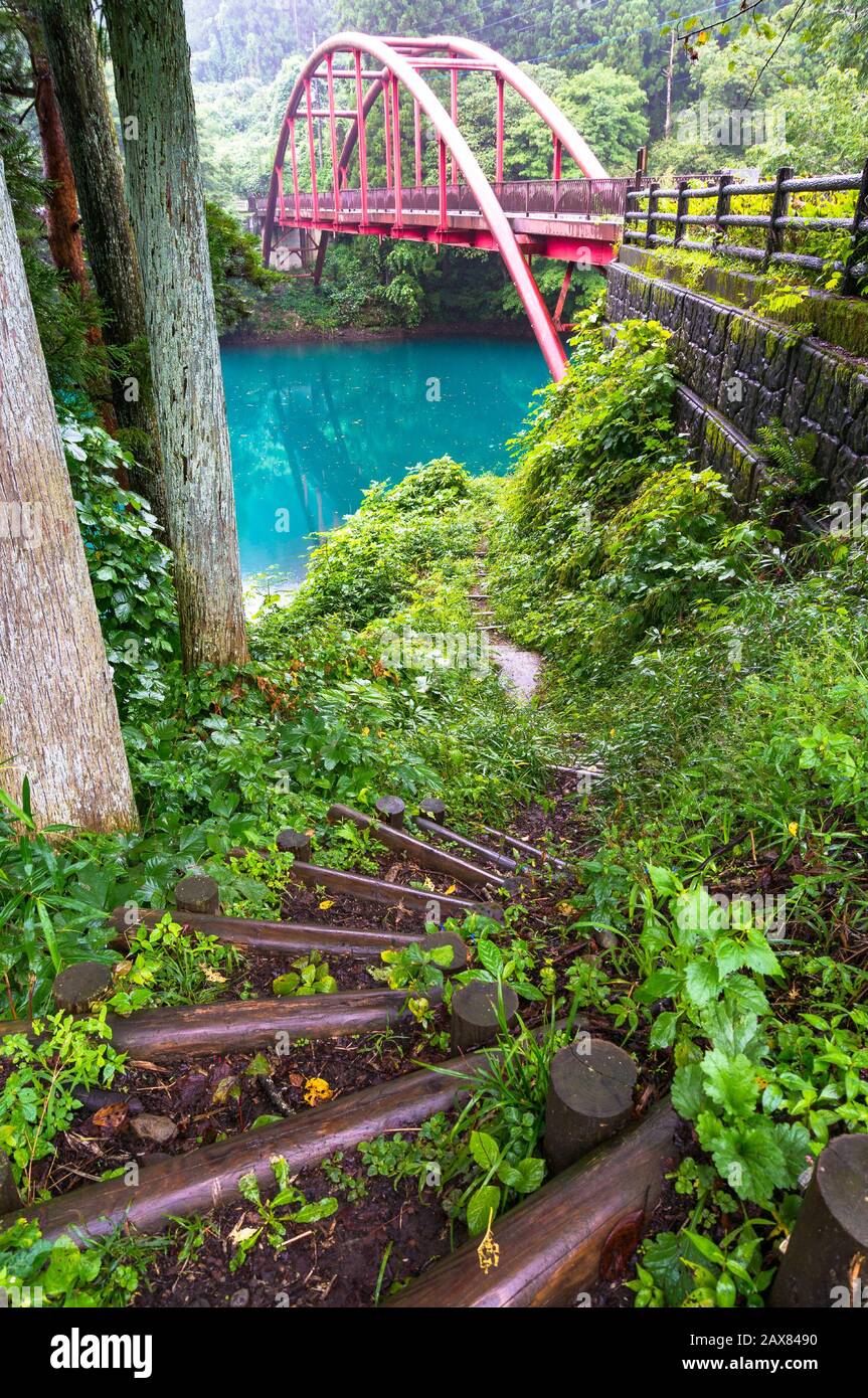 Picturesque landscape of path in forest with view of red arch bridge ...