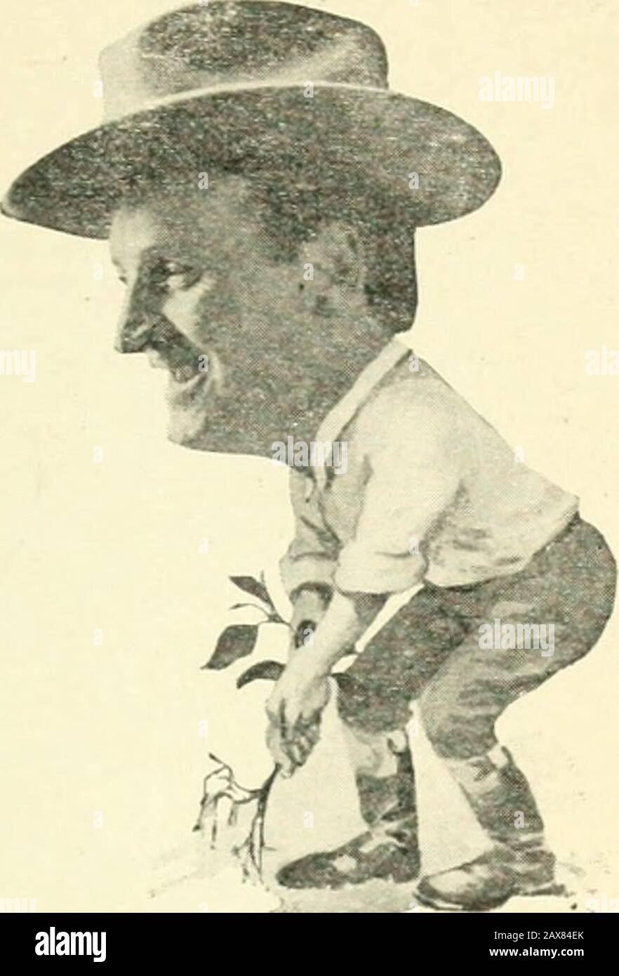 Sir ashurst hi-res stock photography and images - Alamy