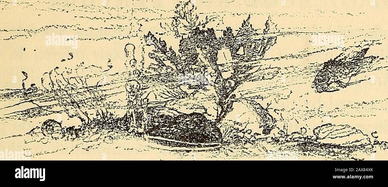 Fletcherism hi-res stock photography and images - Alamy